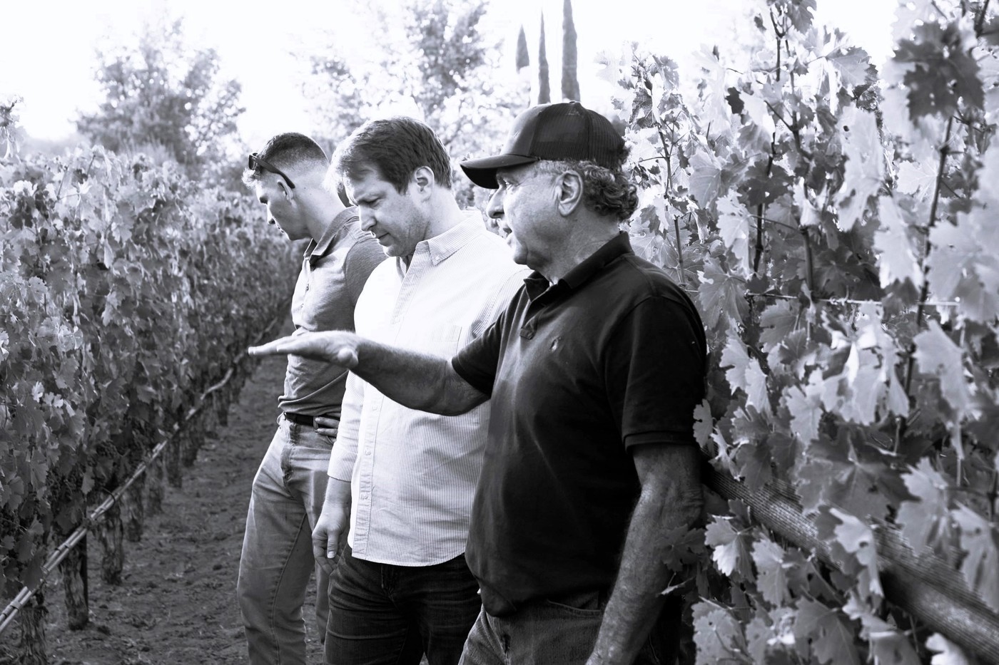 Explore Our Realm | Napa Valley Winemaking Blog