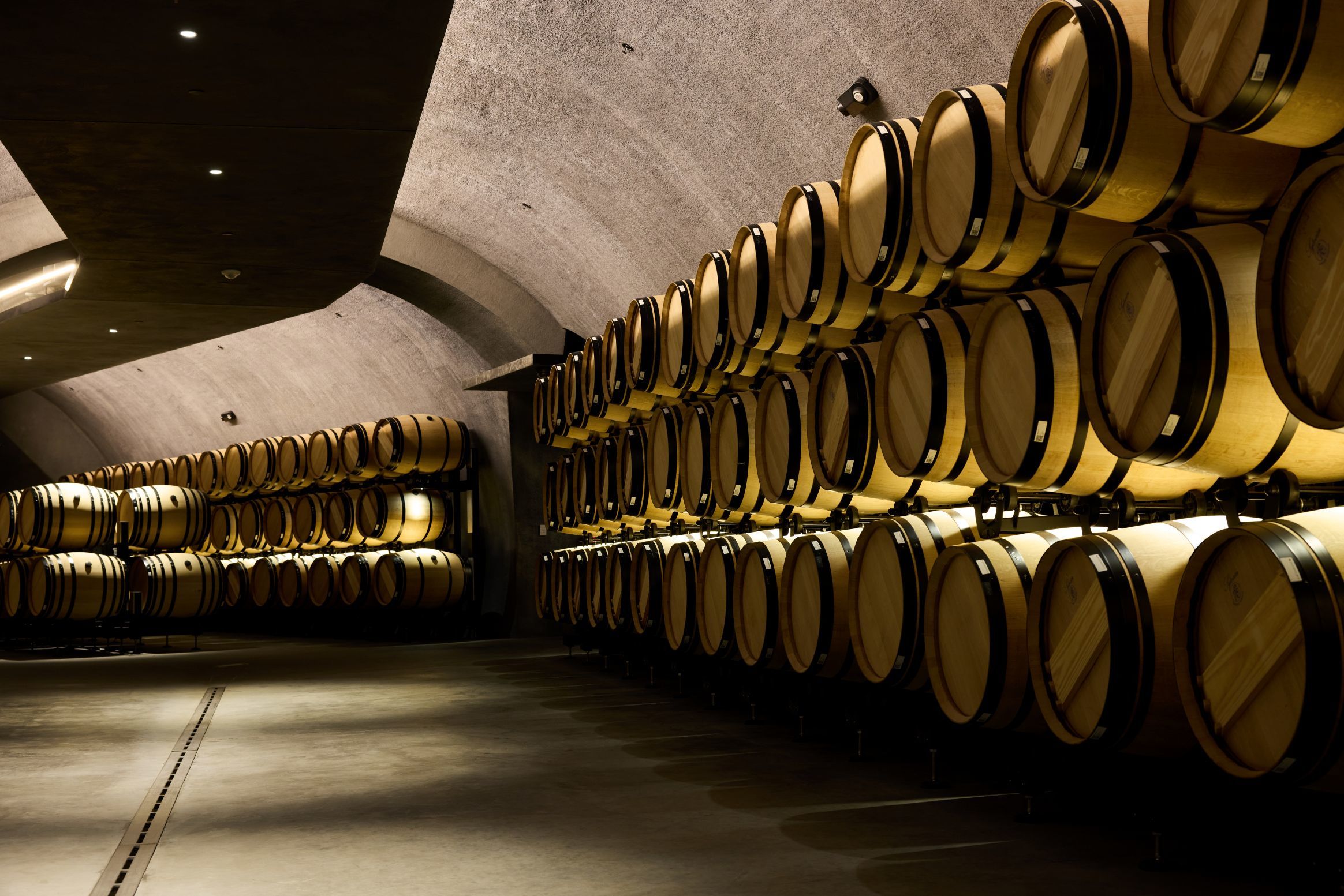 Explore Our Realm | Napa Valley Winemaking Blog