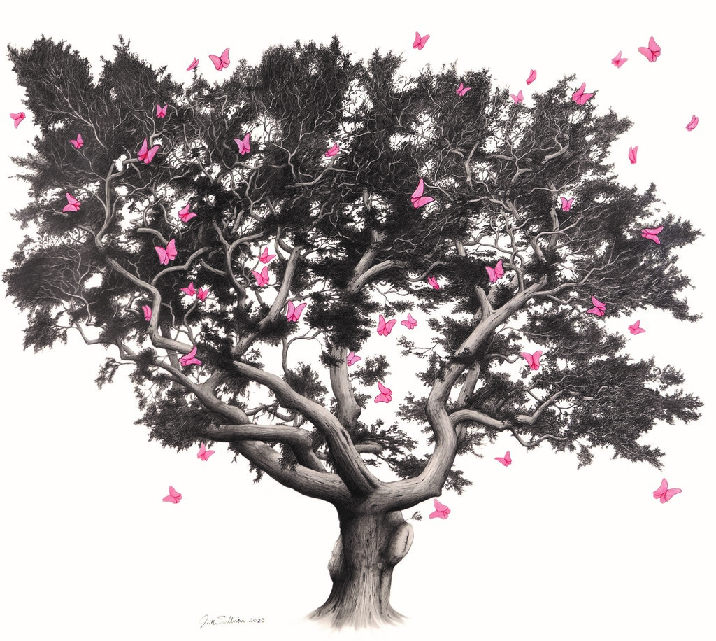 Farella Cabernet Sauvignon | Coombsville AVA Cabs